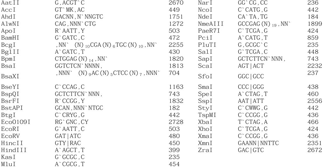 pRNA-SP6-T7 (RNA体外转录质粒)
